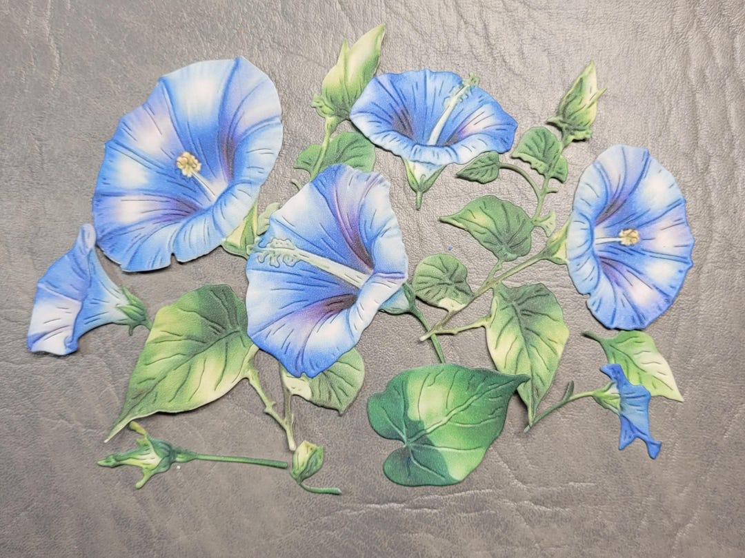 Blue Morning Glories Die Cuts, Fussy Cut Blue Flowers - Etsy