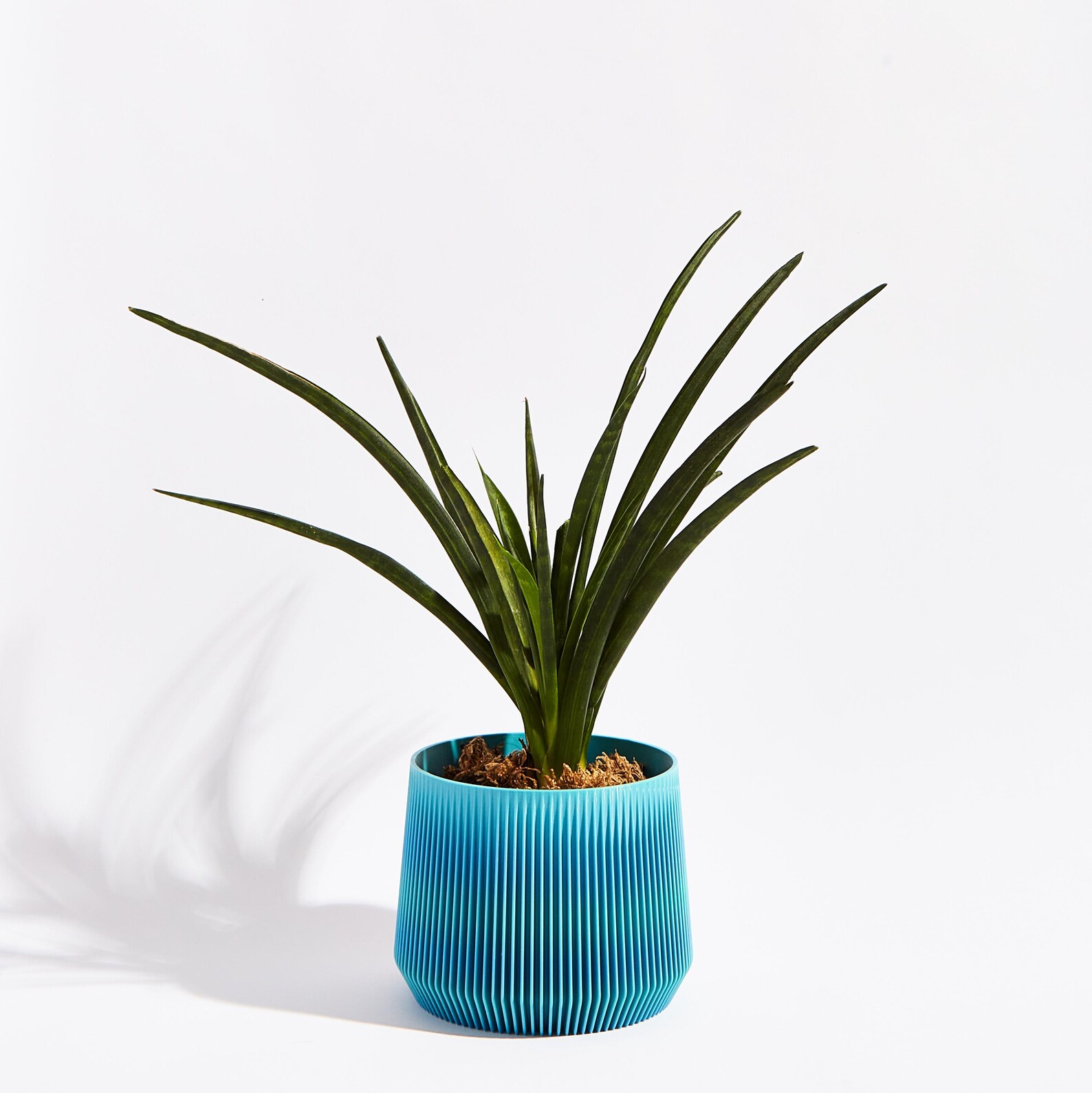 Plant Pot - Pillar Design - Ocean Blue - Etsy UK
