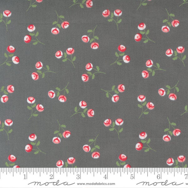 Corey Yoder Fabric - Etsy