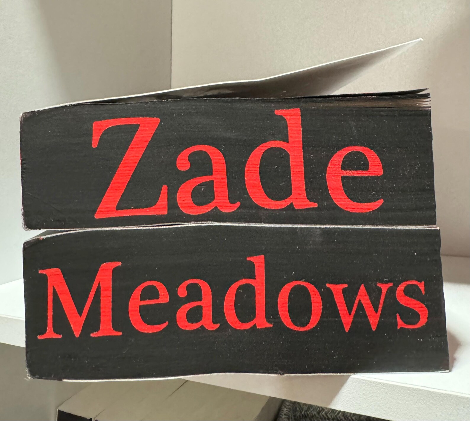 Hunting/ Haunting Adeline Sprayed Edge Book - Etsy