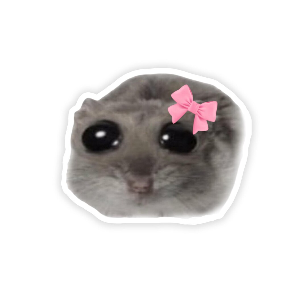 Sad Hamster Meme Hampter Girl Holographic Sticker - Etsy
