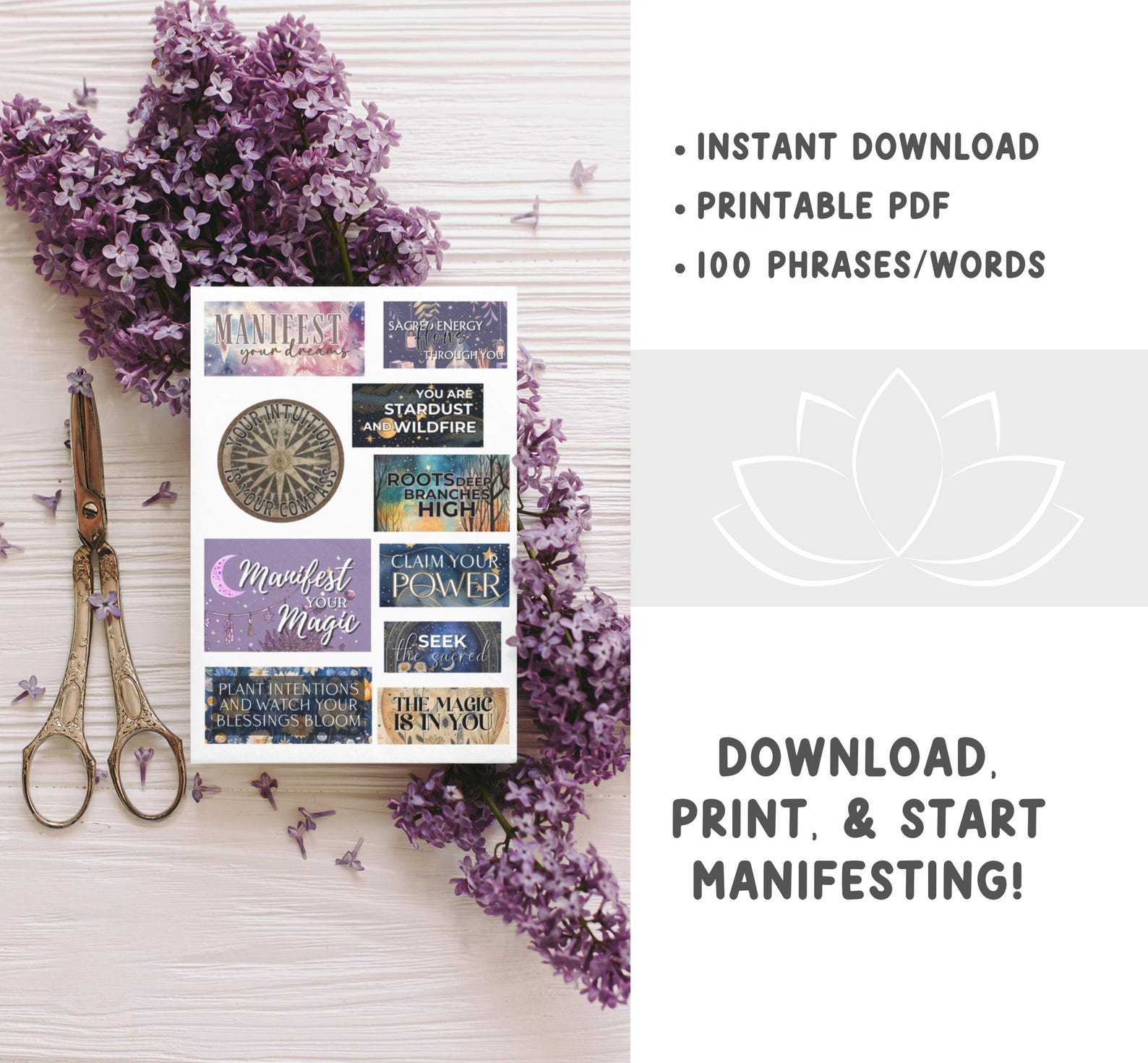 Witchy Vision Board Kit: Gothic Goddess Manifestation Mood Board Spells ...