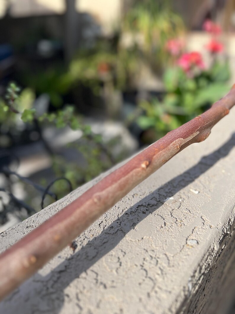 Wood Branch Home Yard Decor Multicolor - Etsy