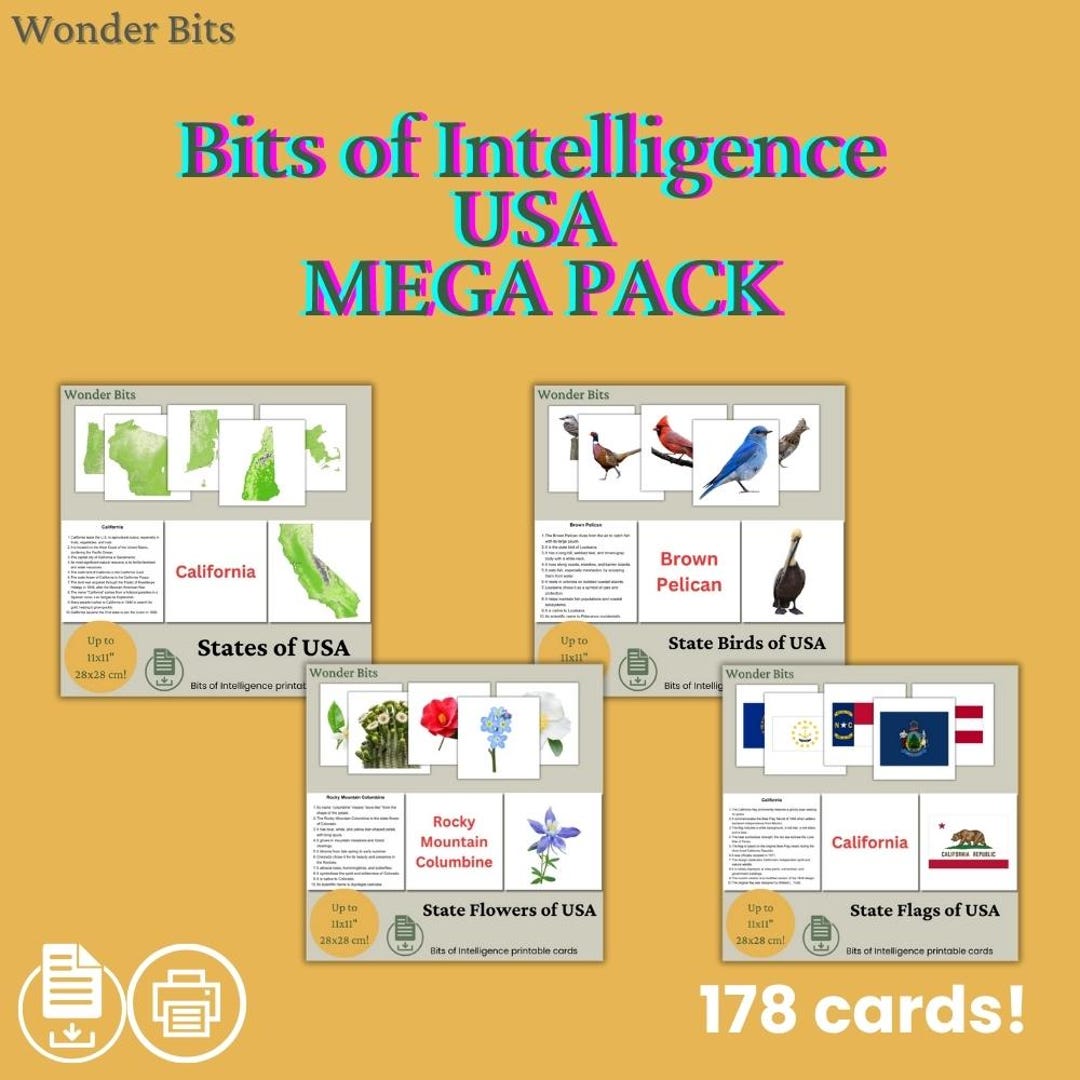 USA State Symbols Flashcards: Early Learning Bundle (PDF & PNG Download ...