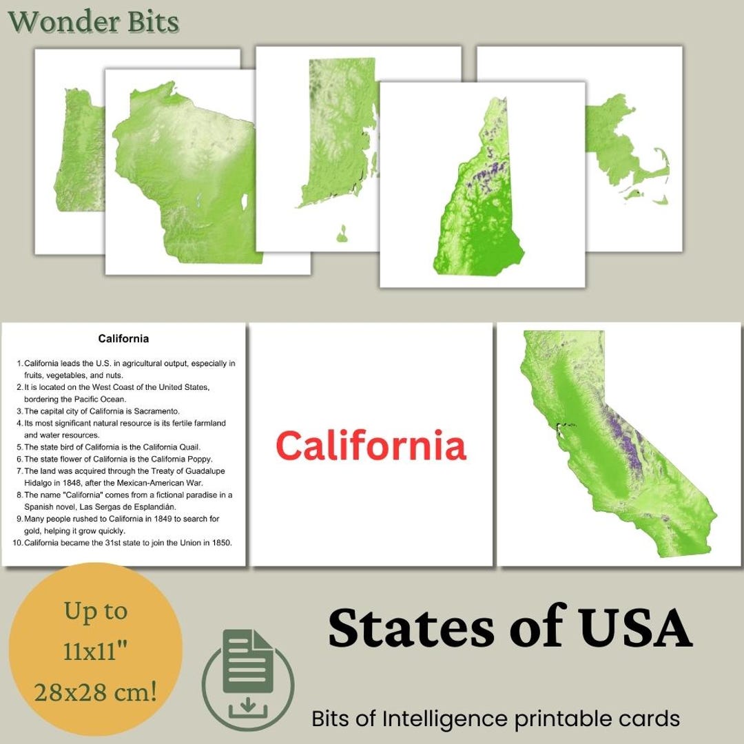 USA States Flashcards: Montessori Geography Learning (PDF & PNG Digital ...