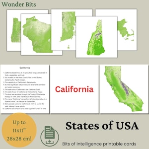 USA States Flashcards: Montessori Geography Learning (PDF & PNG Digital ...
