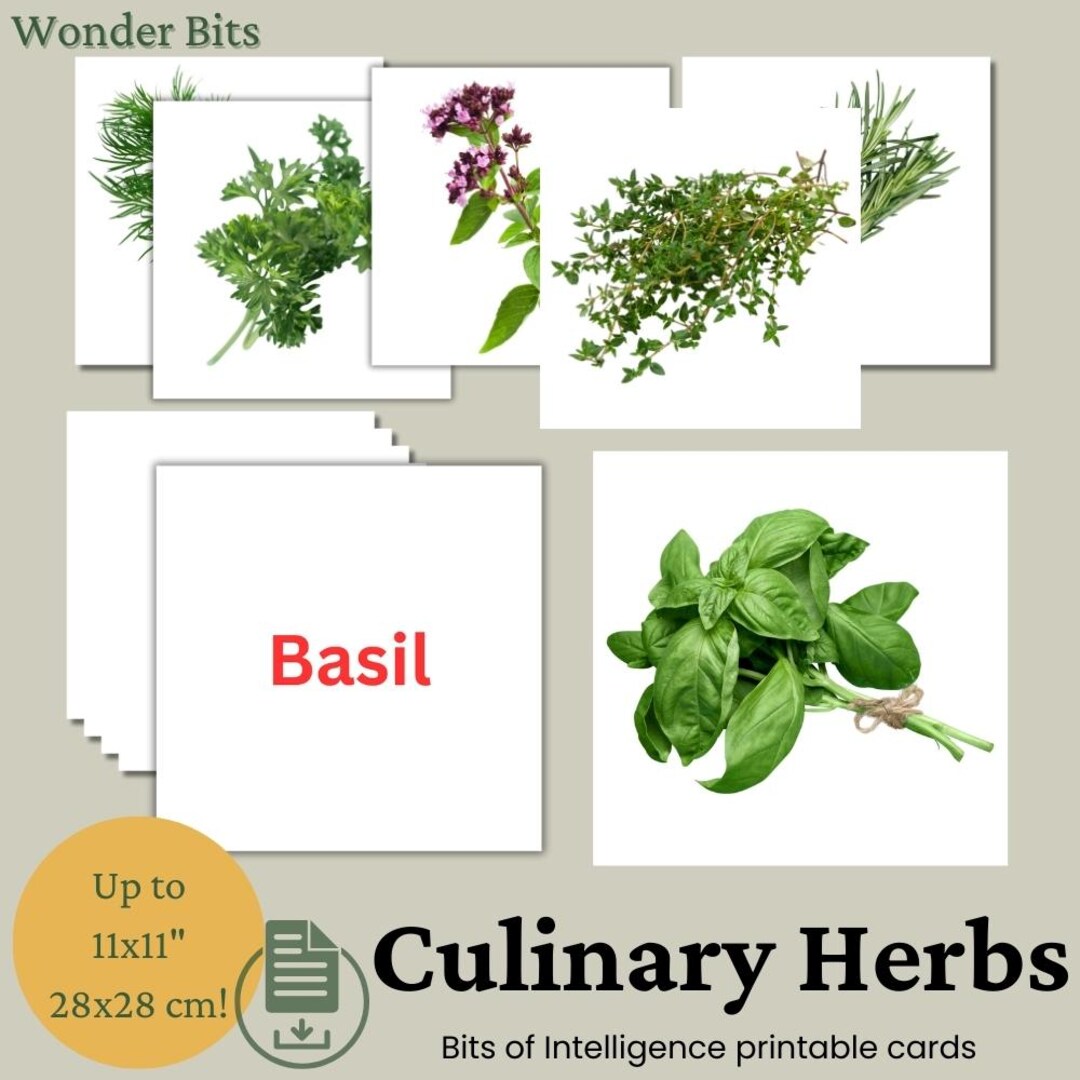 Culinary Herb Flashcards for Kids | Educational Culinary Herb Cards ...