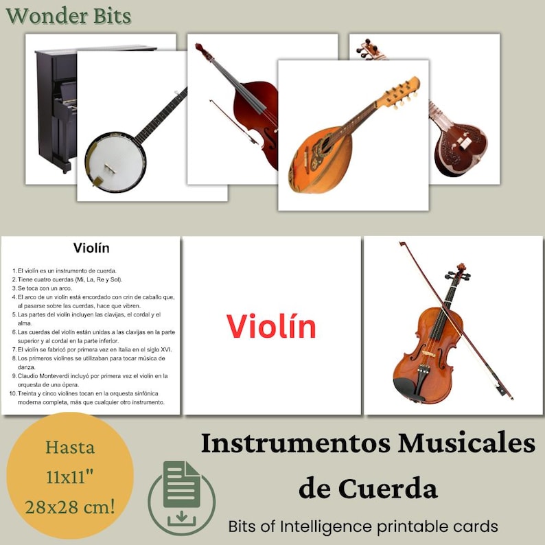 Instrumentos Musicales De Cuerda Español | Tarjeta De Bits of ...