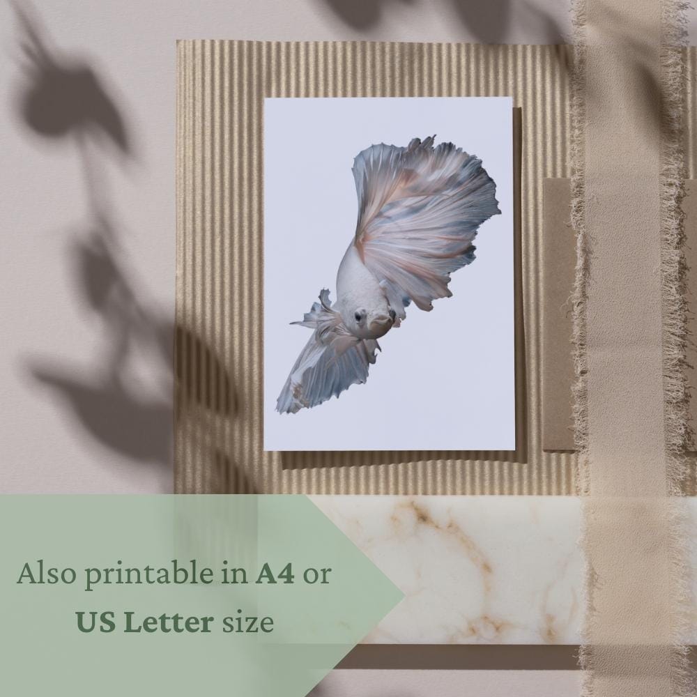 Freshwater Fishes Flashcard for Kids | Educational Fish Cards ...