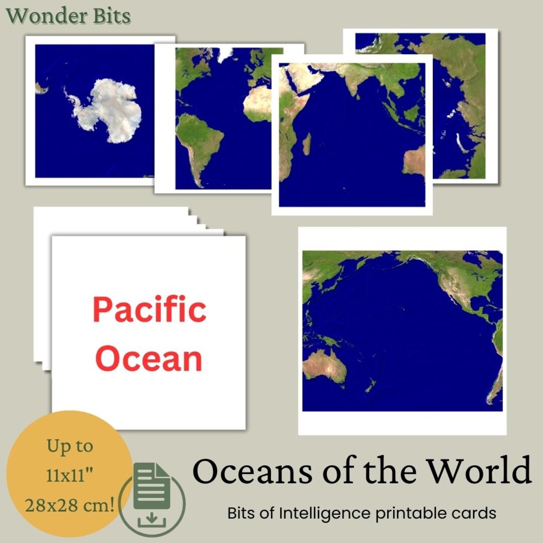 Oceans of the World Flashcards – Educational Geography Cards for Kids ...