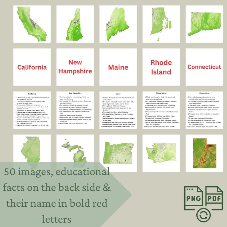 USA States Flashcards: Montessori Geography Learning (PDF & PNG Digital ...