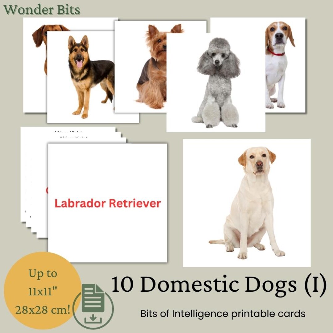 Bits of Intelligence Cards | Domestic Dogs Set With Their Breed Name in ...