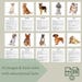 Bits of Intelligence Cards | Domestic Dogs Set | Printable Digital ...