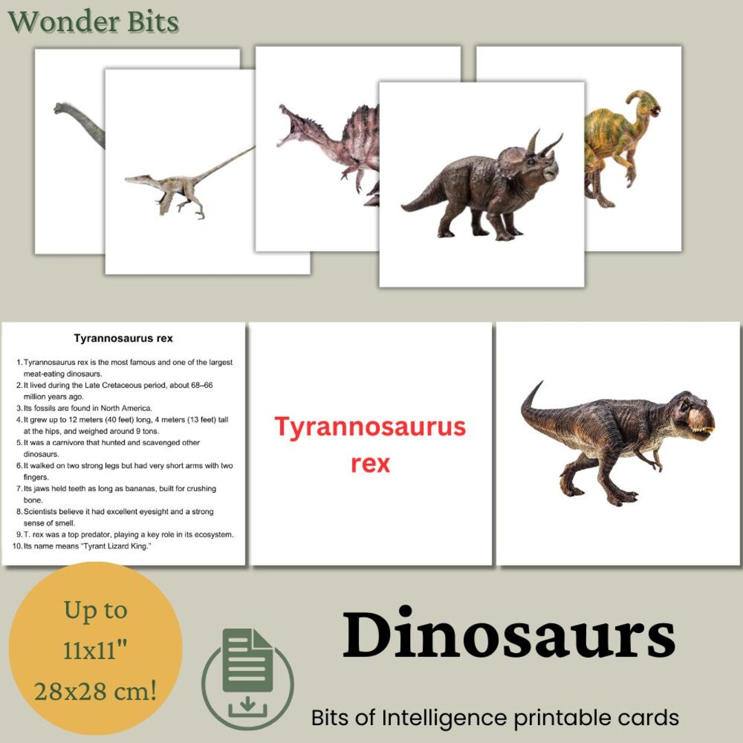 Dinosaur Flashcards: Montessori Learning, STEM Education (PDF & PNG ...