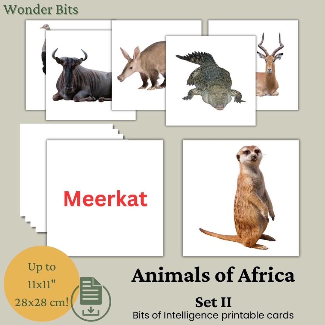 African Animals Flashcards for Kids | Animals of Africa Learning Card ...