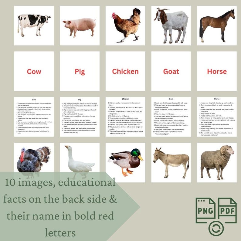 Farm Animals Flashcards for Kids | Educational Animals Learning Cards ...