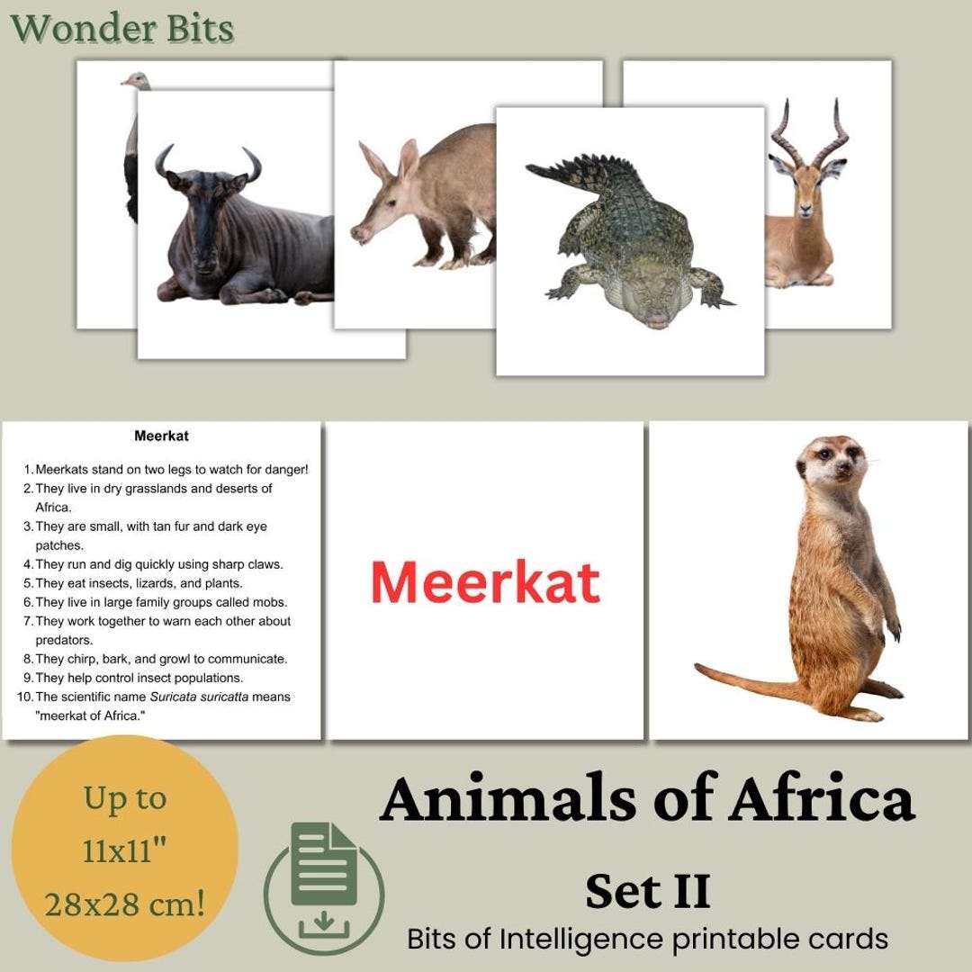 African Animals Flashcards for Kids | Animals of Africa Learning Card ...