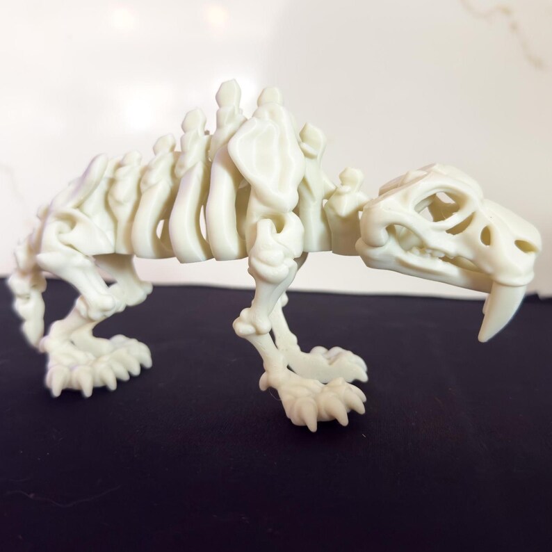 Sabertooth Tiger Skeleton Toy – Articulated Flexible Prehistoric Fossil ...