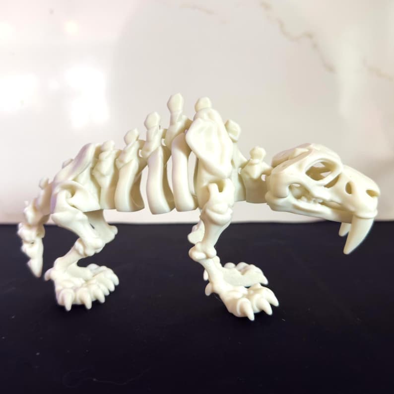 Sabertooth Tiger Skeleton Toy – Articulated Flexible Prehistoric Fossil ...
