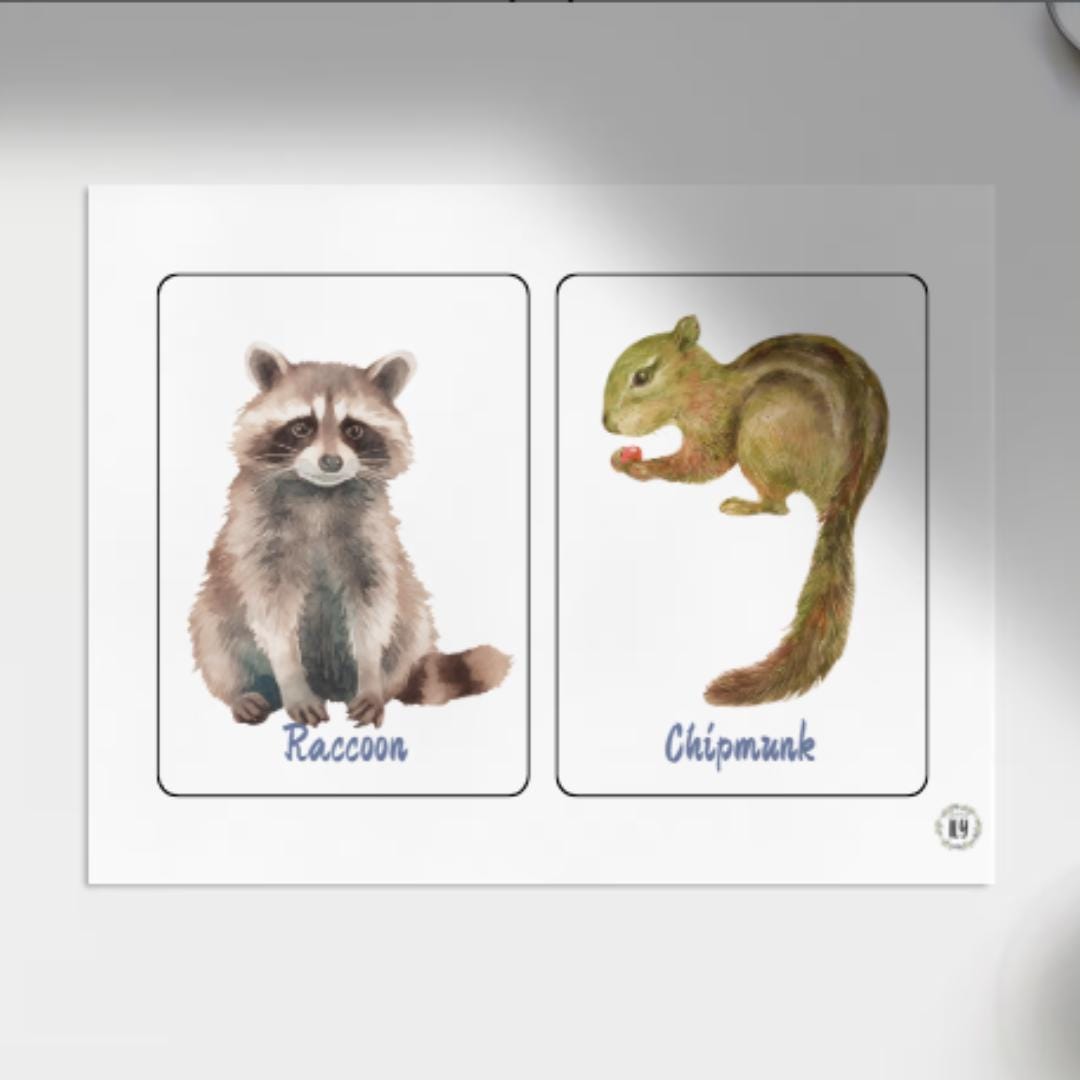 Forest Animal Flash Cards - Etsy