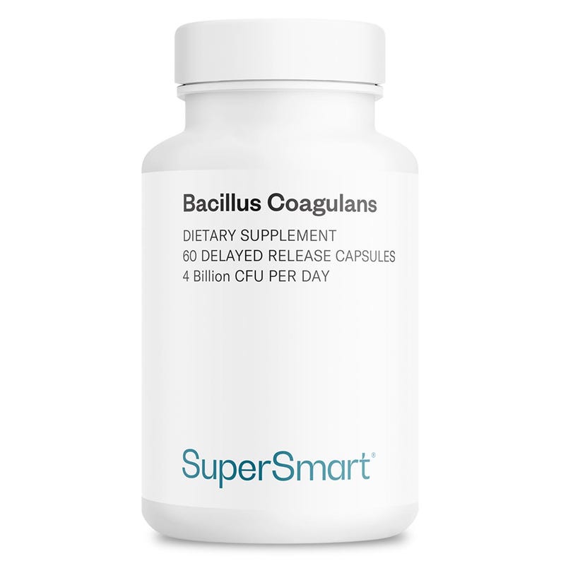 Supersmart Bacillus Coagulans Probiotic 4 Billion CFU per Day ...