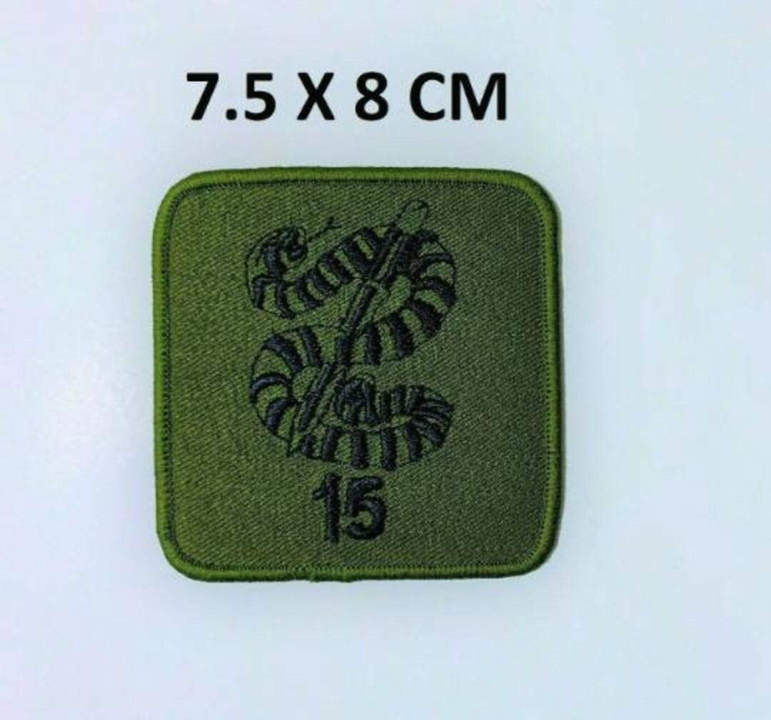 Royal Air Force RAF REGIMENT 15 Military Combat Trf Sew on Patch Only ...