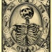 Memento Mori Card Collection 10 Designs Blank Birthday - Etsy