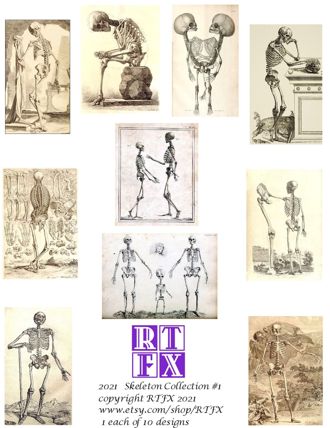 Skeleton Collection #1 Vintage Images Notecards Handmade Anatomy ...