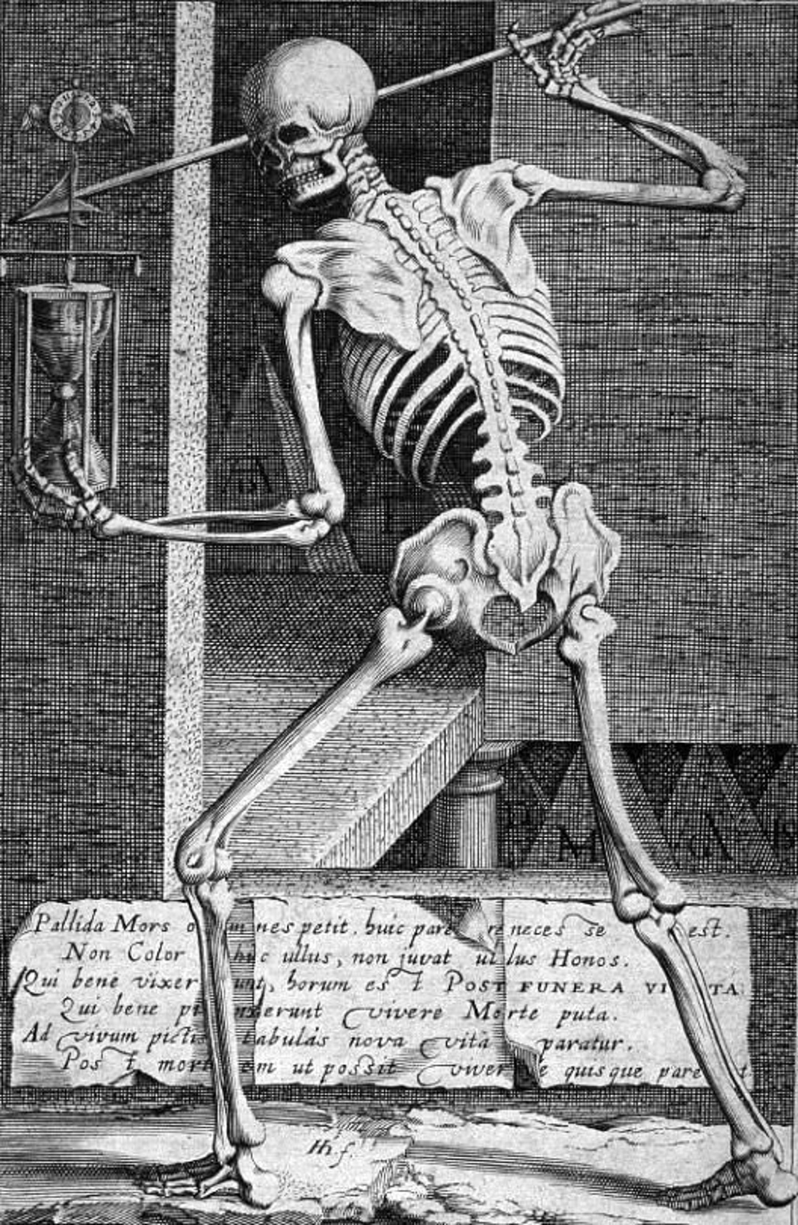 Memento Mori Card Collection 10 Designs Blank Birthday Halloween ...