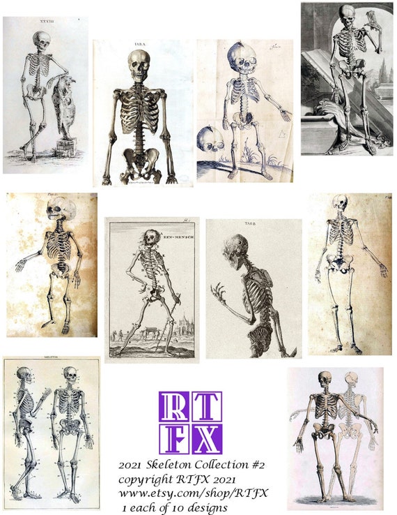 Skeleton Collection 2 Vintage Image Note Cards Handmade - Etsy