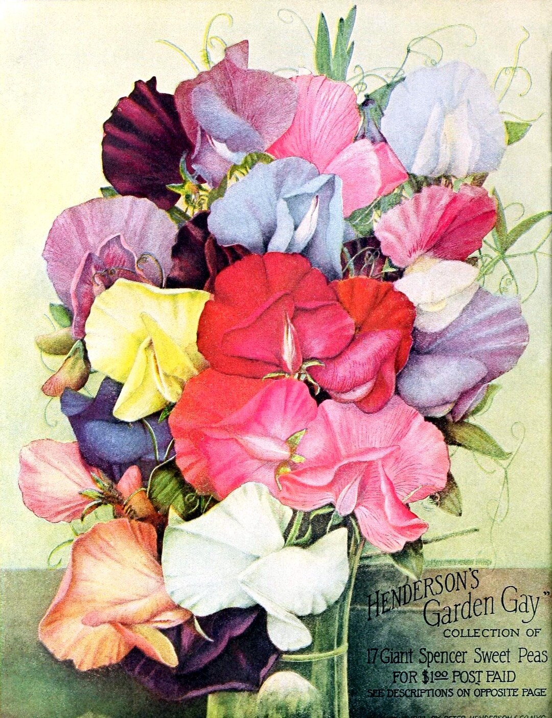 Sweet Peas Flower Blank Note Card Handmade Holiday Garden Birthday ...