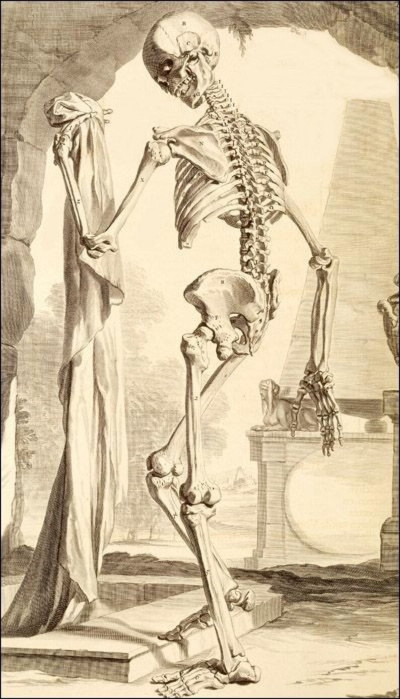 Skeleton Collection 1 Vintage Images Notecards Handmade | Etsy