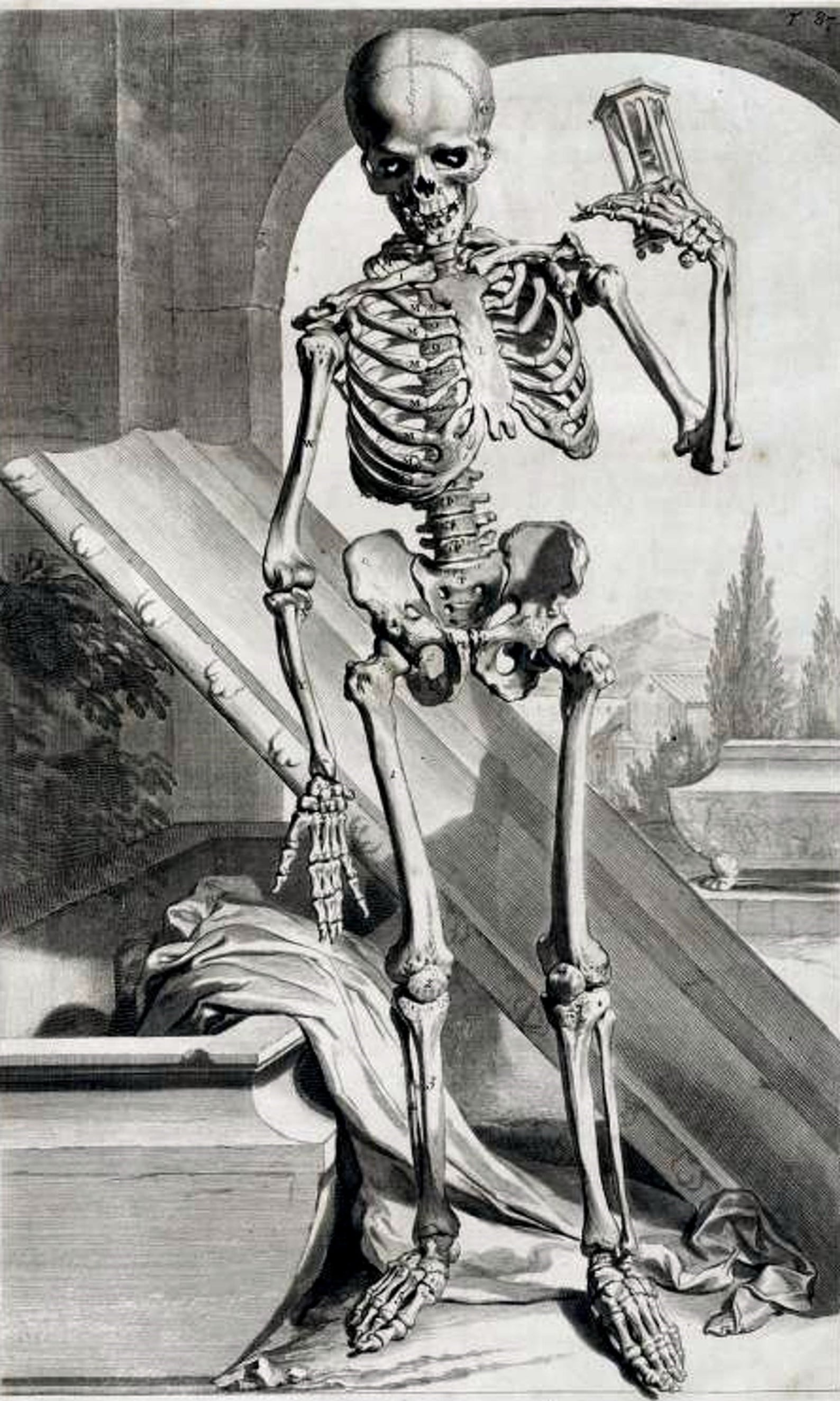 Skeleton Collection 2 Vintage Image Note Cards Handmade - Etsy