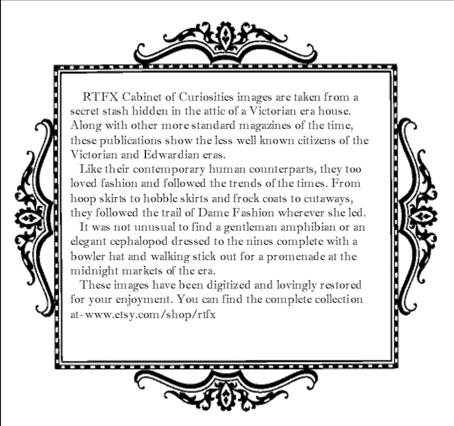 Miss Mouse Cabinet of Curiosities Blank Note Card Hand Made - Etsy