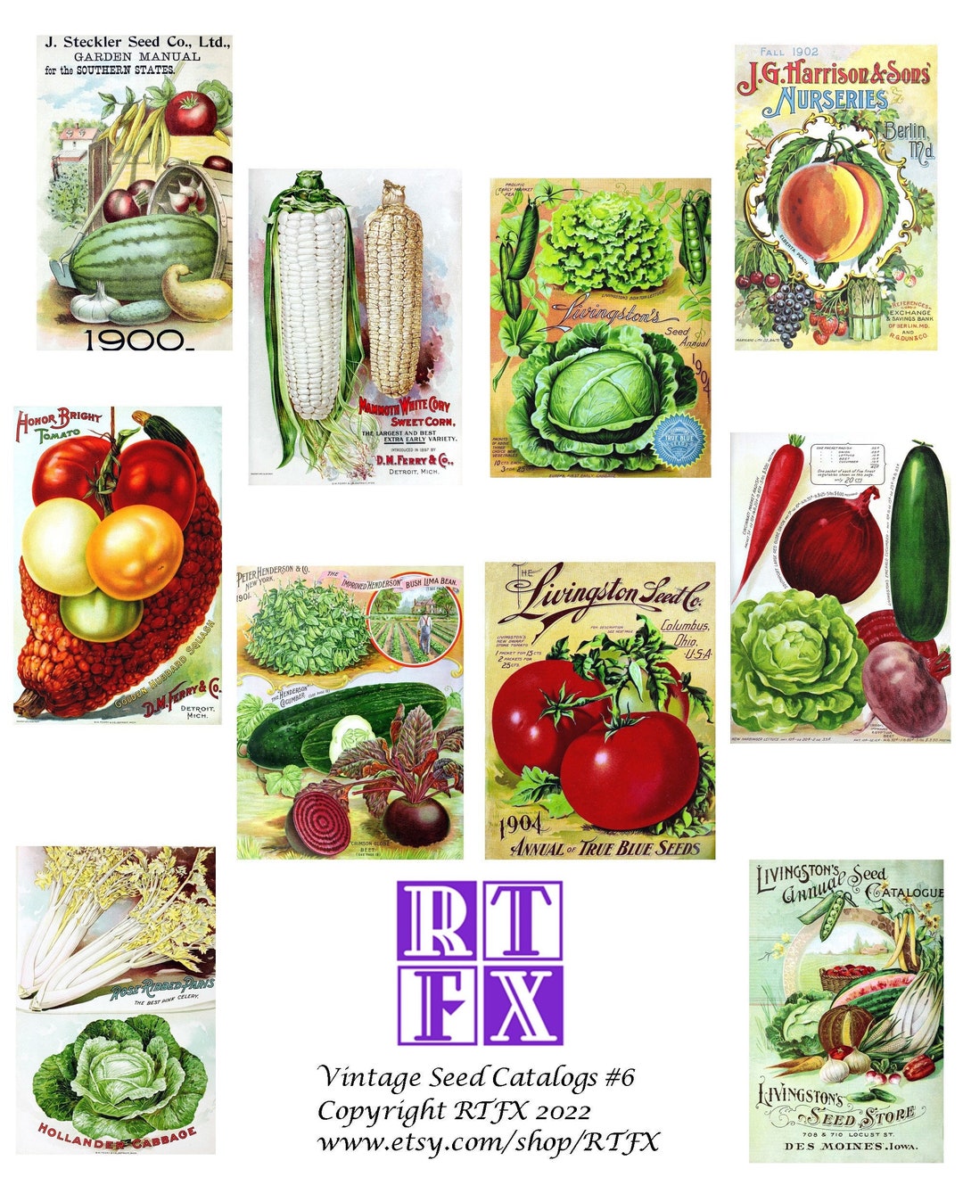 Vintage Seed and Garden Catalogs Vegetables Set #6 Blank Note Cards ...