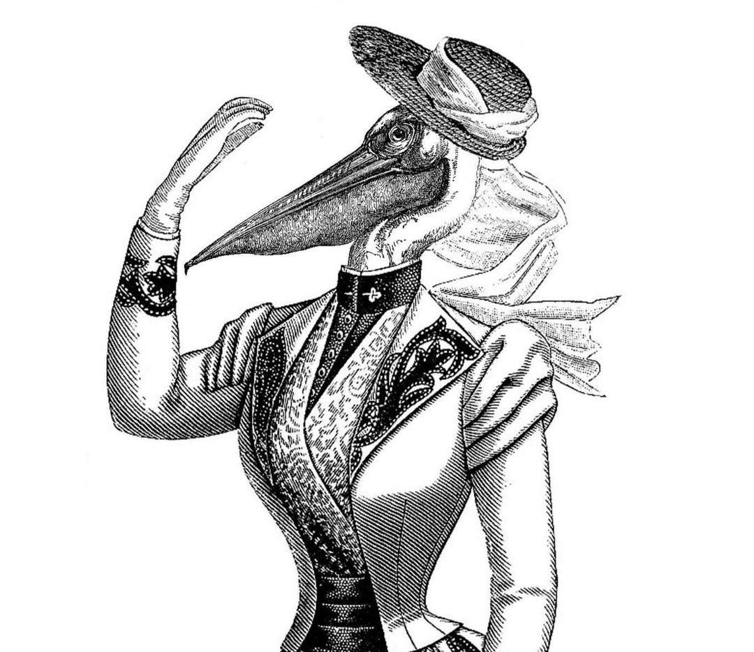 Lady Pelican Cabinet of Curiosities Blank Note Card Hand Made Birthday ...