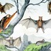 Bat Collection Number 2 Handmade Blank Note Cards Vintage - Etsy