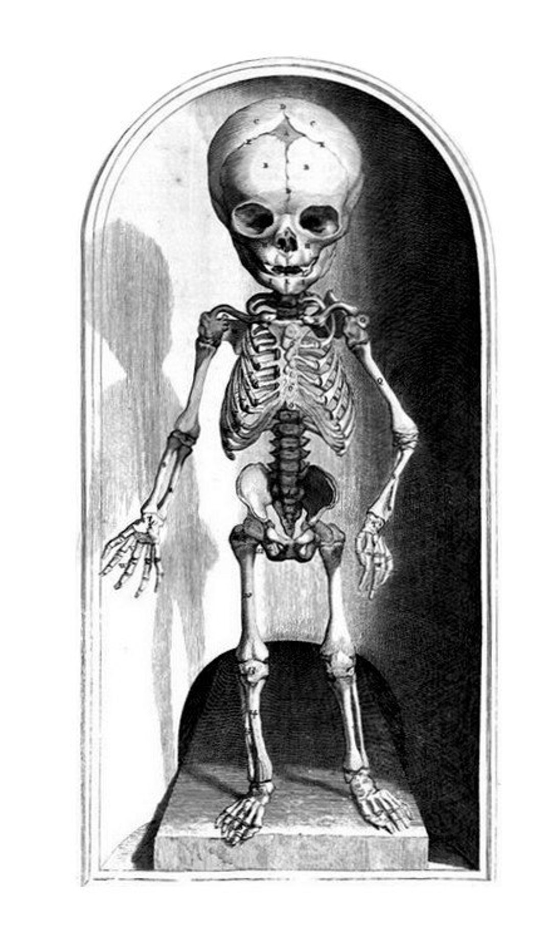 Skeleton in a Jar Notecard Halloween Handmade Vintage Image Anatomy ...