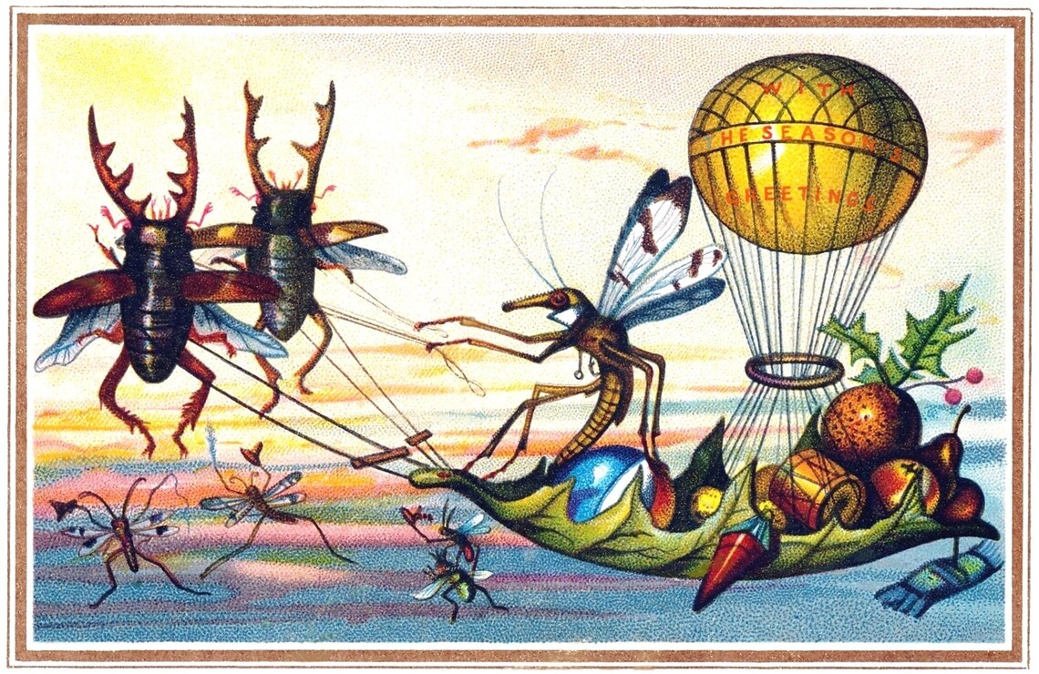 Beetle Christmas Vintage Christmas Seasons Greetings Holiday Yule Cards ...