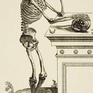 Skeleton Collection #1 Vintage Images Notecards Handmade Anatomy ...