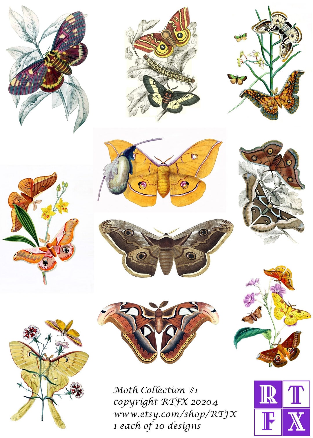 Mot Collection Number 1 Blank Cards Handmade 10 Cards Spring Mother's ...