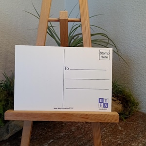 Cattleya Orchid Blank Note Card Vintage Garden Flower Spring Valentine ...