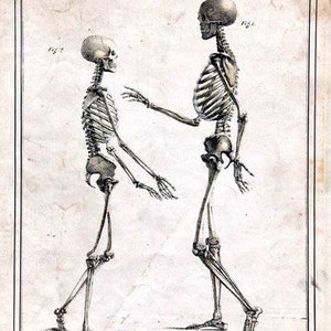 Skeleton Collection #1 Vintage Images Notecards Handmade Anatomy ...