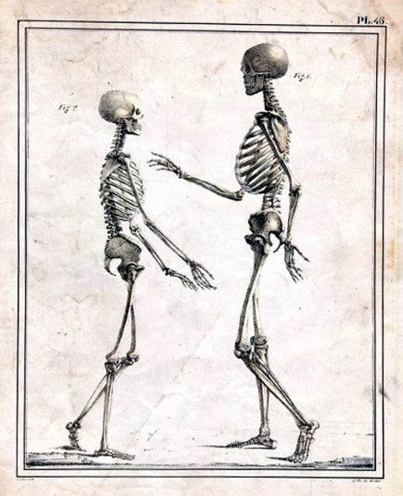 Skeleton Collection 1 Vintage Images Notecards Handmade | Etsy