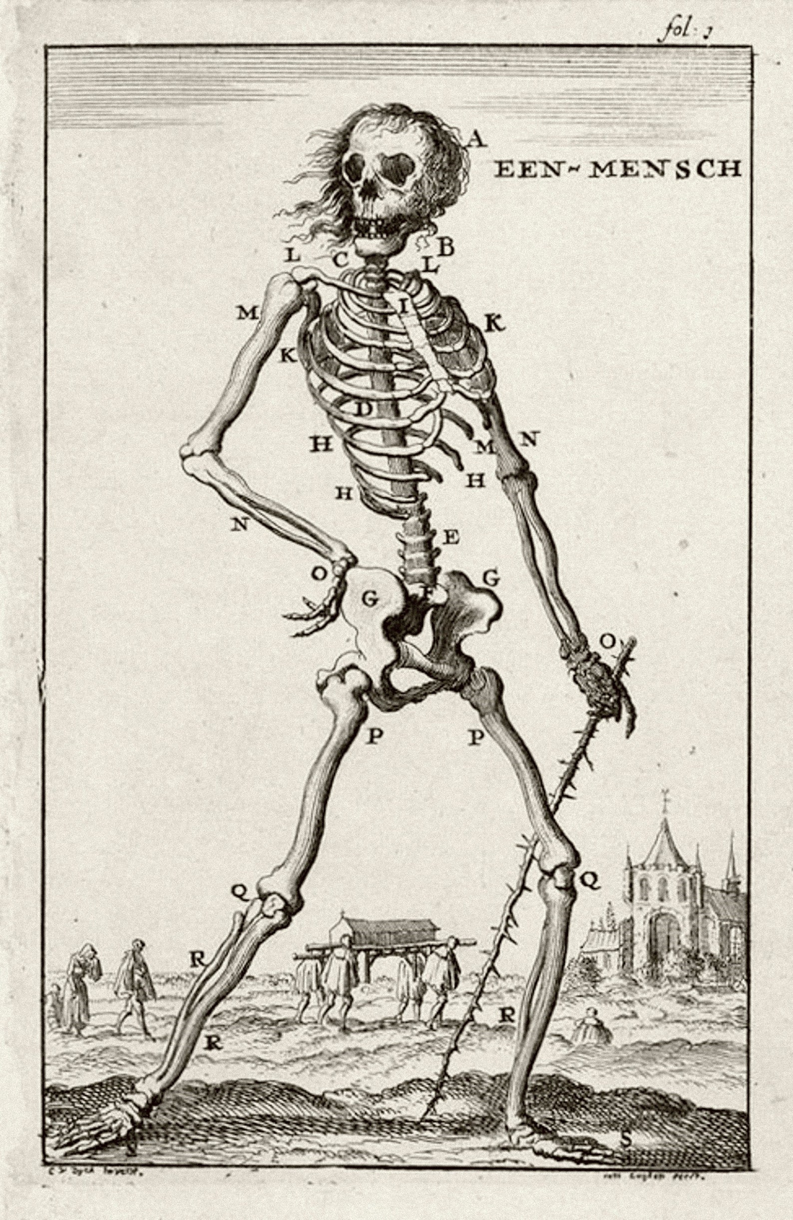 Skeleton Collection 2 Vintage Image Note Cards Handmade - Etsy