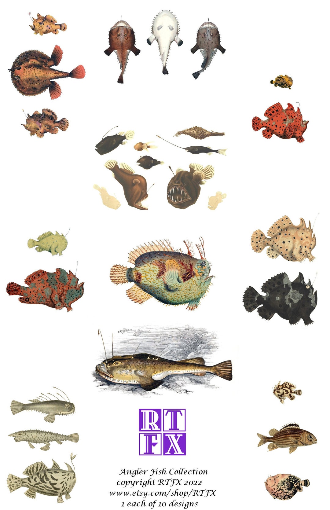 Angler Fish Collection Cards Handmade 10 Cards Graduation Birthdays ...
