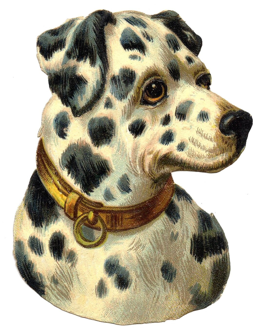 Vintage Dogs Blank Note Card Handmade Birthday Holiday Thank You Get ...