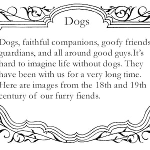 Vintage Dogs Circus Dogs Blank Note Card Handmade Birthday Holiday ...