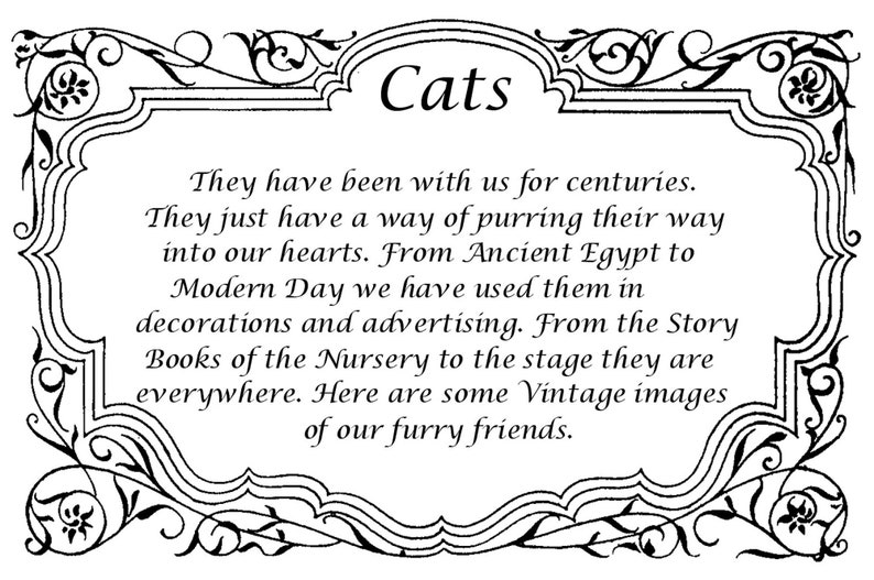 Vintage Cat Miss Kitty Blank Not Card Handmade Birthday - Etsy