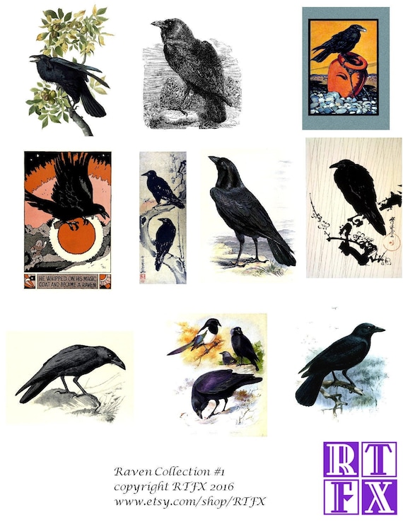 Raven Collection Number 1 Vintage Image Cards Handmade 10 - Etsy